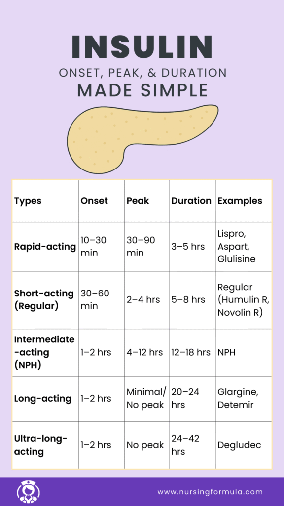Insulin Onset, Peak, Duration: A Simple Guide You’ll Never Forget